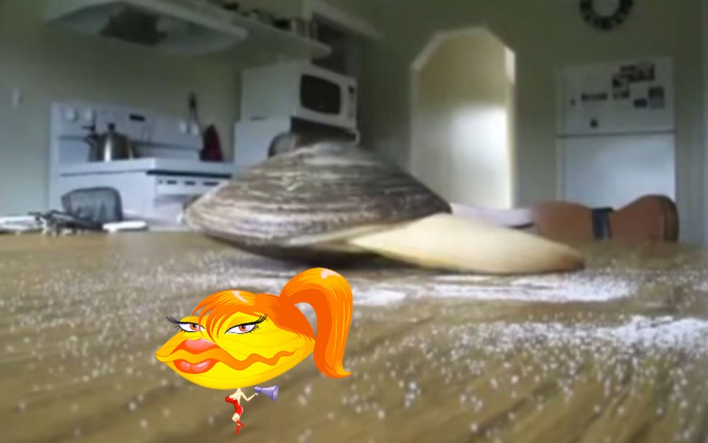 Creepy video shows seafood clam that seasons itself by 'licking' a ...